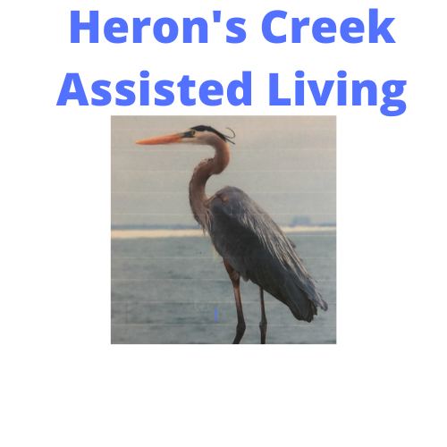 iCM - Care Provider Software