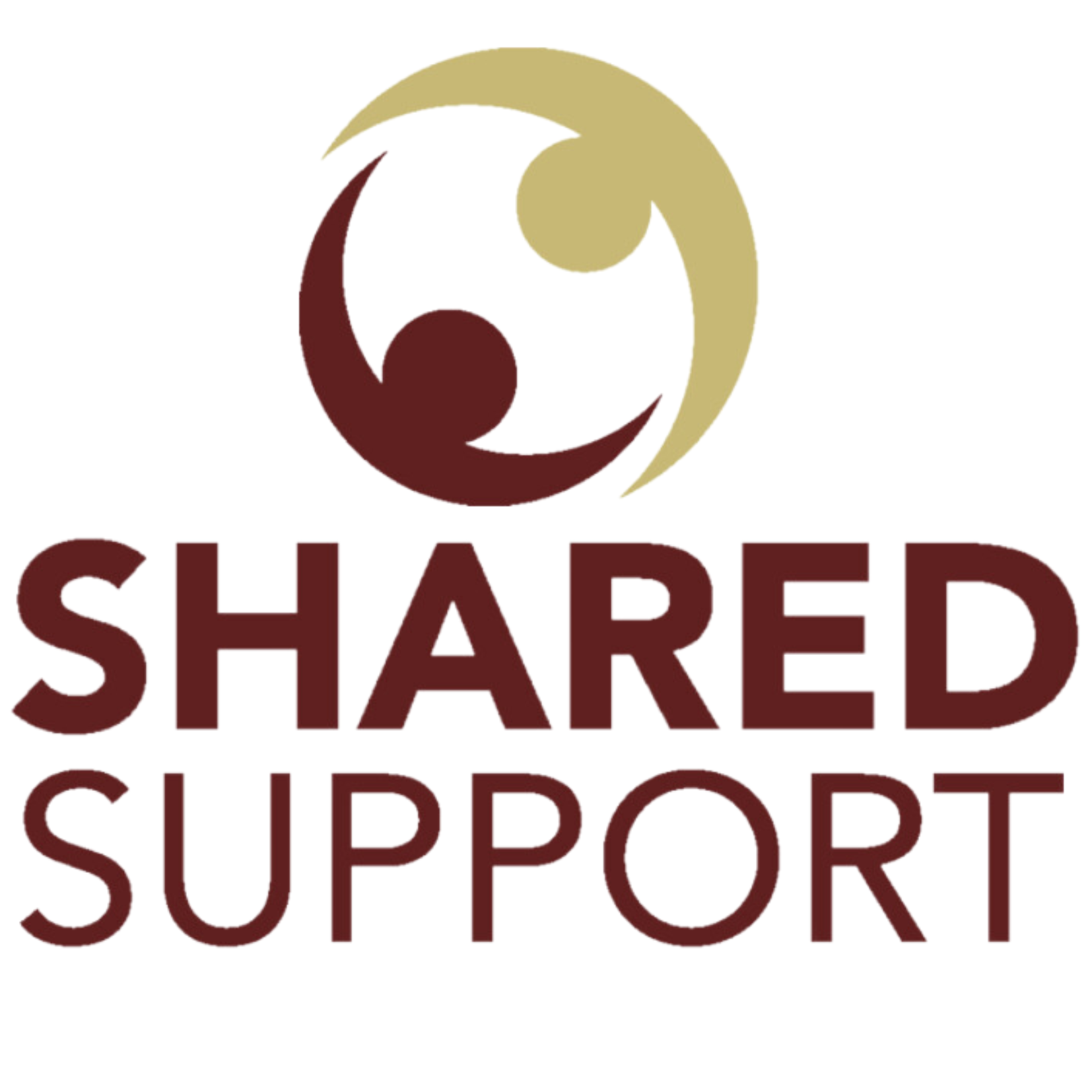 iCM - Care Provider Software